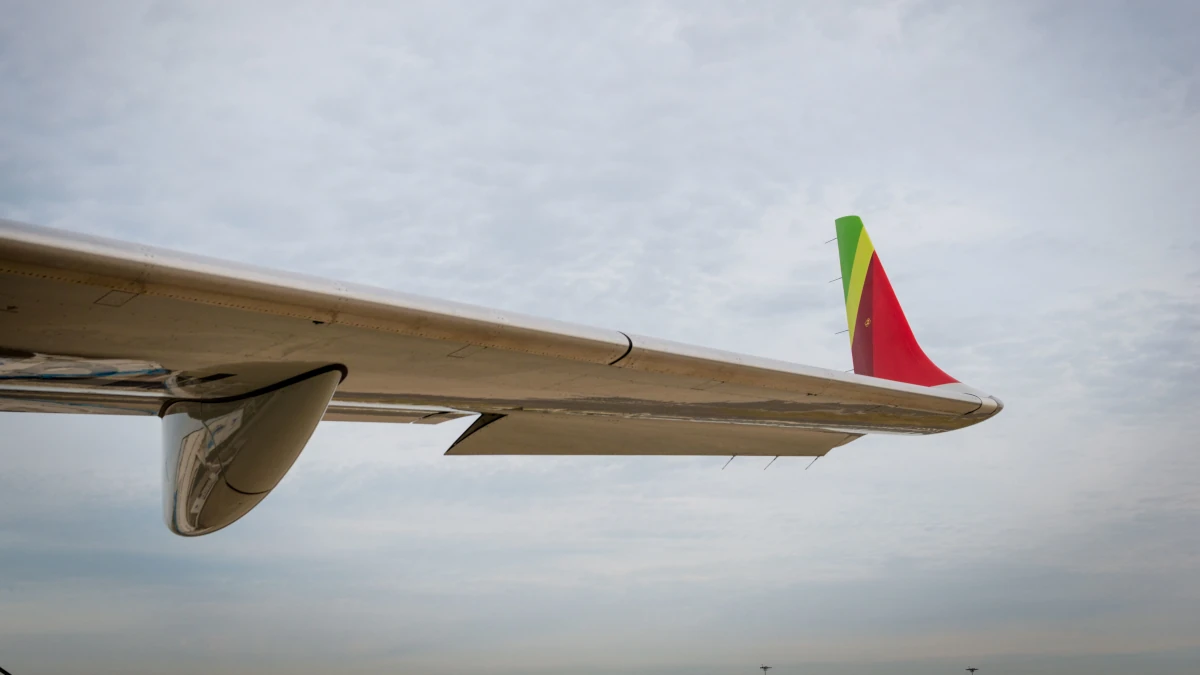 TAP Air Portugal: 16.1M pasajeros en 2024 y crecimiento en rutas clave ...